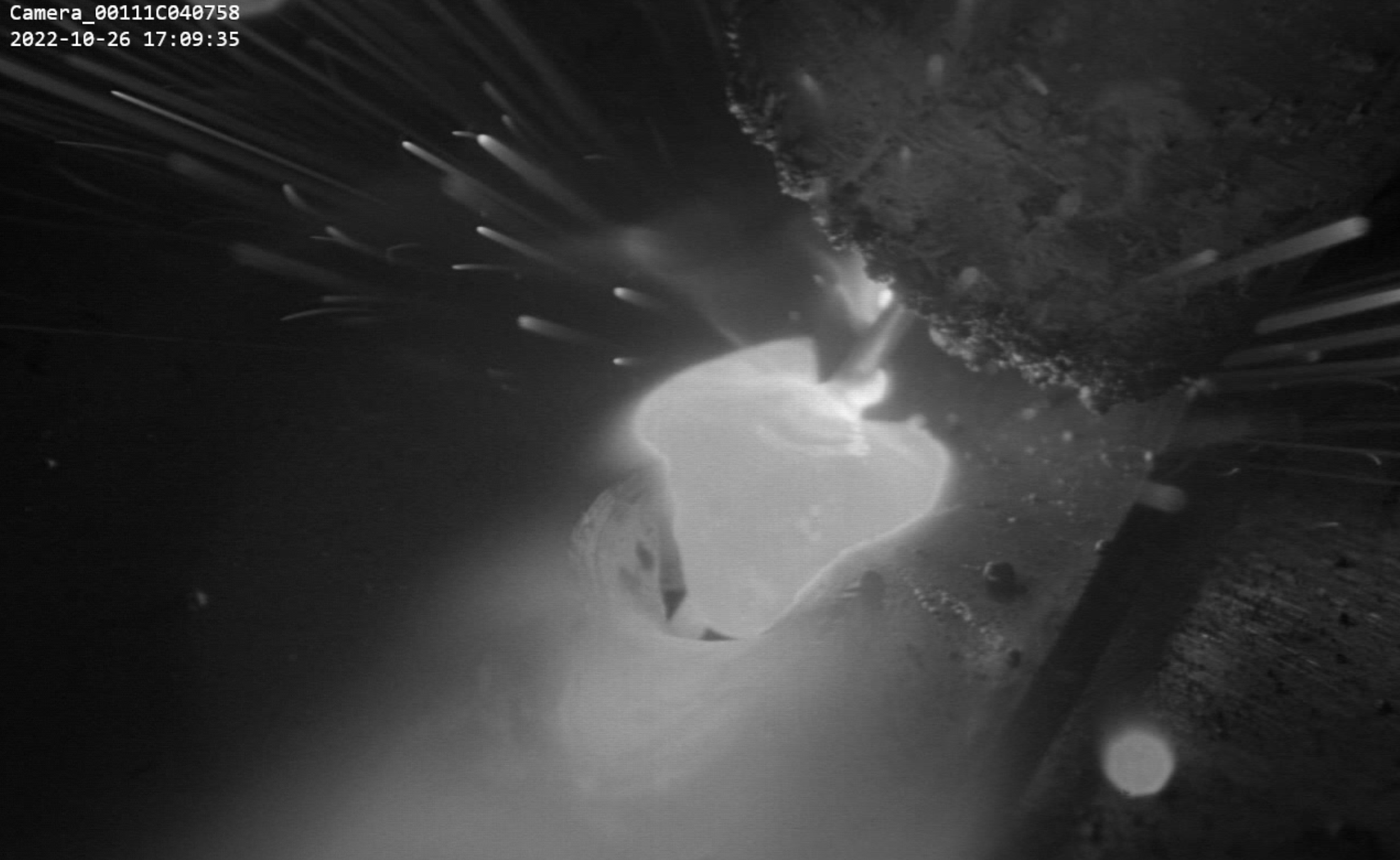 How the XVC-750 Redefines Melt Pool Monitoring in Welding